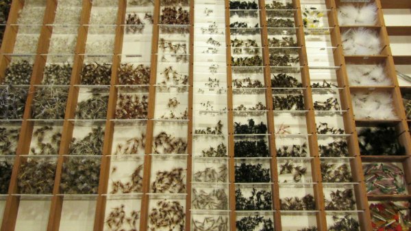 How to Organize Your Fly Boxes | Guide Recommended
