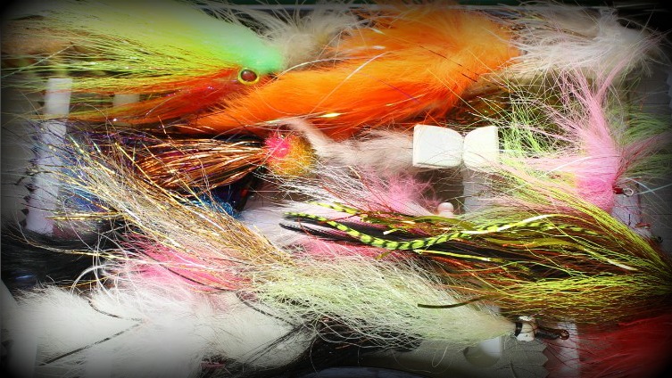 A Review of Streamer Fly Boxes for Big Flies - Guide Recommended
