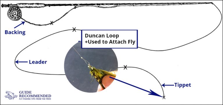 5 Essential Knots You Must Learn for Fly Fishing - Guide Recommended