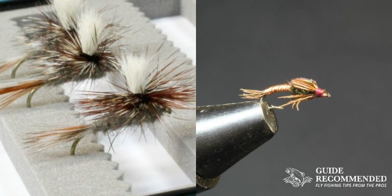 The 17 Best Flies for Brook Trout (And How to Fish Them) - Guide ...