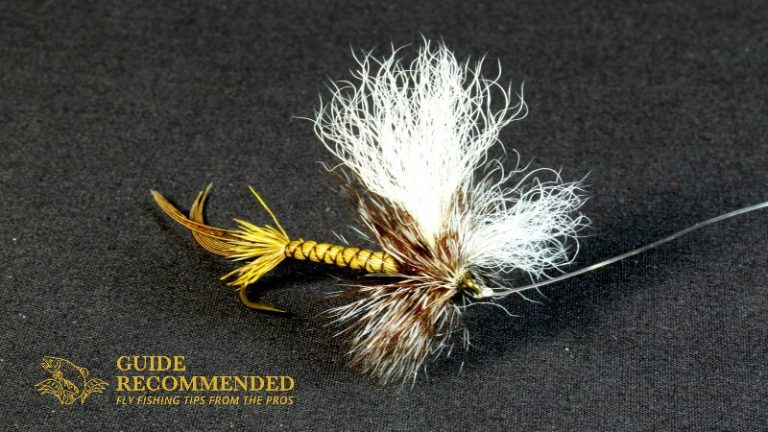 How to Keep a Dry Fly From Sinking - Guide Recommended