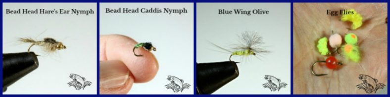 7 Best Places to Fly Fish in Acadia National Park - Guide Recommended