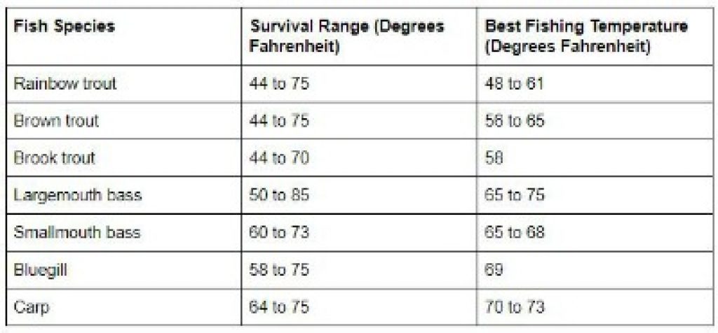 How to Use a Stream Thermometer to Catch More Fish - Guide Recommended