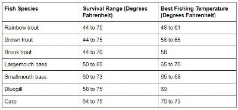 How to Use a Stream Thermometer to Catch More Fish - Guide Recommended