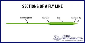 How to Setup a Fly Fishing Rod and Reel: From Reel to Fly - Guide ...
