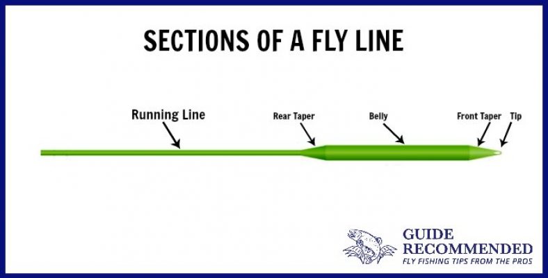 How to Setup a Fly Fishing Rod and Reel: From Reel to Fly - Guide ...