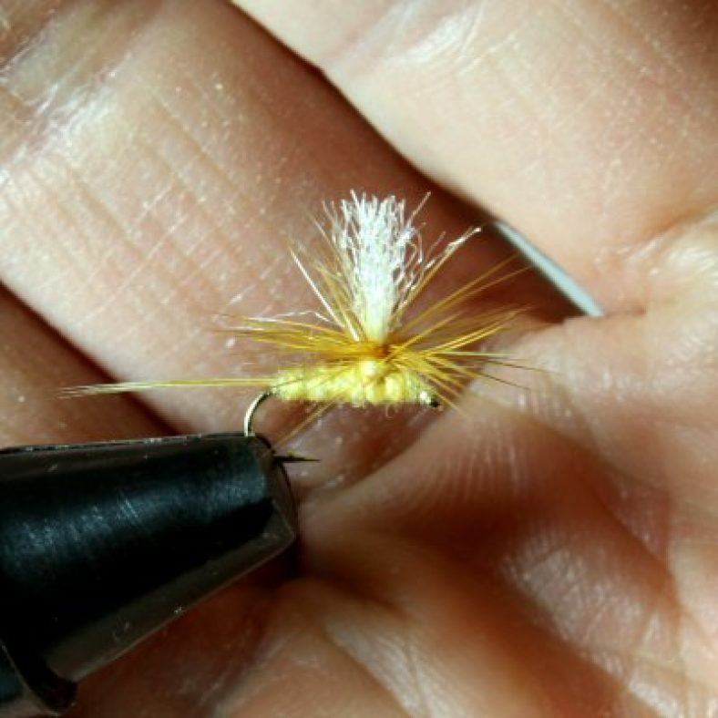 What is a DUN in Fly Fishing: Plus 5 Tips for Using Duns - Guide ...