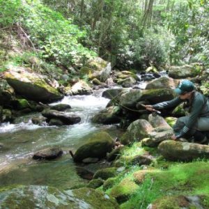 What is Dapping in Fly Fishing: a Pocket Water Technique - Guide ...