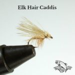 7 Best Places to Fly Fish in Acadia National Park - Guide Recommended