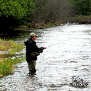 15 Places to Fly Fish in Wyoming: Maps Included - Guide Recommended