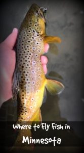 11 Best Places to Fly Fish in Minnesota: MAPS INCLUDED - Guide Recommended
