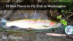 13 Best Places to Fly Fish in Washington State: Maps Included - Guide ...