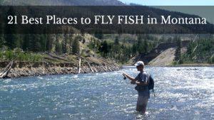 Guide to Fly Fishing on the Gallatin River MT (Maps, Flies and Technique) - Guide Recommended