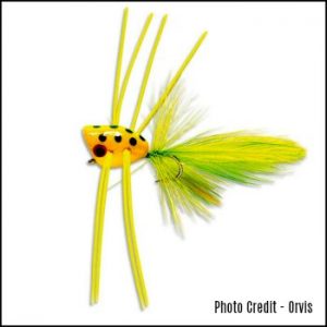 Bass Flies (21 Proven Fly Fishing Patterns That Catch Bass!) - Guide ...