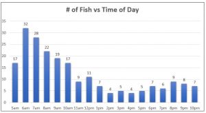 What is the BEST TIME of DAY to Fly Fish for Trout - Guide Recommended