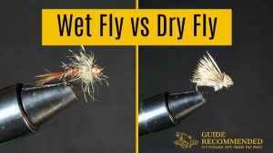 What is the Difference Between a WET FLY vs DRY FLY – Guide Recommended