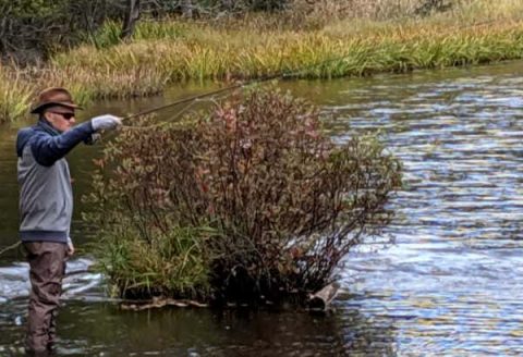 11 Best Places to Fly Fish in Arizona: MAPS INCLUDED - Guide Recommended