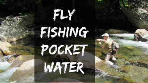 What is POCKET WATER in Fly Fishing and HOW to Fish It! - Guide Recommended