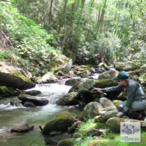 What is POCKET WATER in Fly Fishing and HOW to Fish It! - Guide Recommended