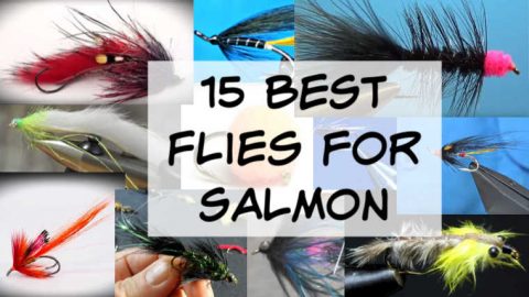 15 Best Flies for Salmon (Pictures Included) - Guide Recommended