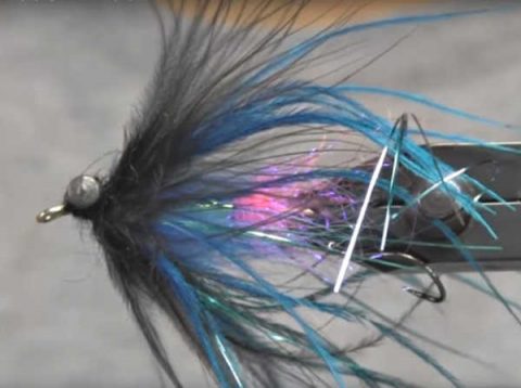 15 Best Flies for Salmon (Pictures Included) - Guide Recommended