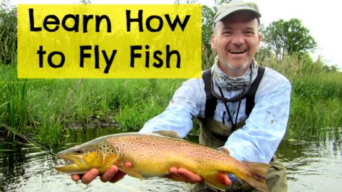 Learn to Fly Fish (Step by Step with VIDEOS) - Guide Recommended