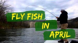 Guide to Fly Fishing on the Gallatin River MT (Maps, Flies and ...