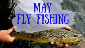 Guide to Fly Fishing on the Gallatin River MT (Maps, Flies and ...