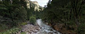 Where to Fly Fish in Yosemite National Park [with MAPS] - Guide Recommended