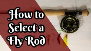 Home - Guide Recommended