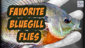 15 Best Flies For Bluegill [with Video and Setup] - Guide Recommended