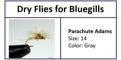 15 Best Flies For Bluegill [with Video and Setup] - Guide Recommended