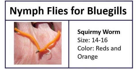 15 Best Flies For Bluegill [with Video and Setup] - Guide Recommended