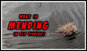 What is Mending in Fly Fishing (With Video) - Guide Recommended