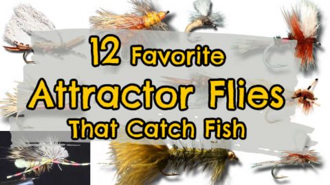 What is an Attractor Fly in Fly Fishing [12 Favorites and Setting it Up ...