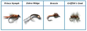The 17 Best Flies for Brook Trout (And How to Fish Them) - Guide ...