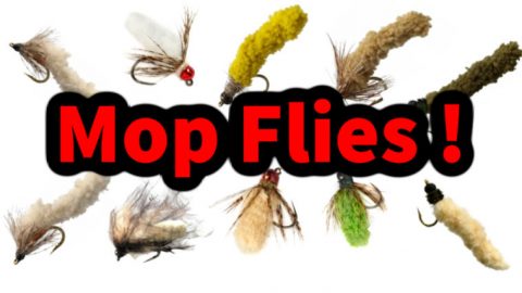 What is a Mop Fly and How to Fly Fish with It? - Guide Recommended