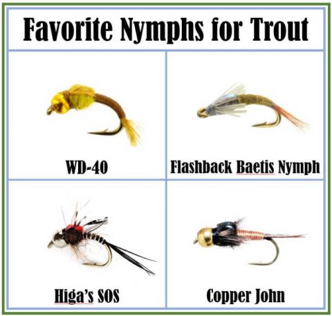 The Best Nymph Flies for Trout (17 Proven Patterns) - Guide Recommended