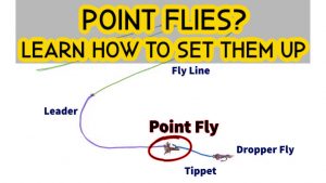 What is a Point Fly [Fishing with Multiple Flies] - Guide Recommended