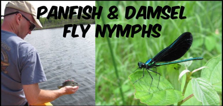 Successful Nymphing For Panfish (Setup, Flies and Video) - Guide Recommended