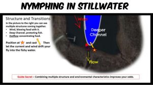 Successful Nymphing For Panfish (Setup, Flies and Video) - Guide ...