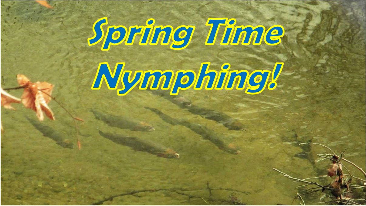 Spring Fly Fishing Tips Using Nymphs - Guide Recommended