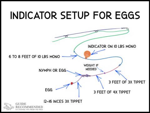 The 8 Best Egg Patterns for Trout - Guide Recommended
