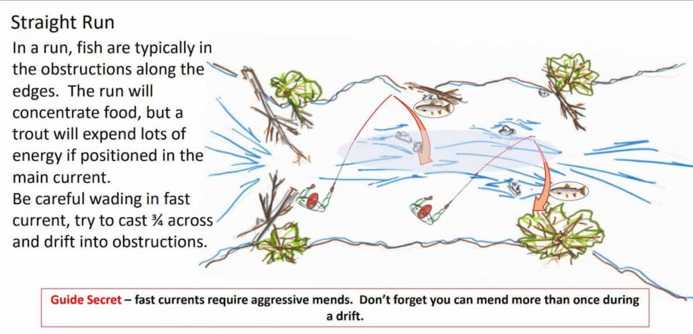 Where to Find Trout in a River and Stream (Mystery Solved) - Guide ...