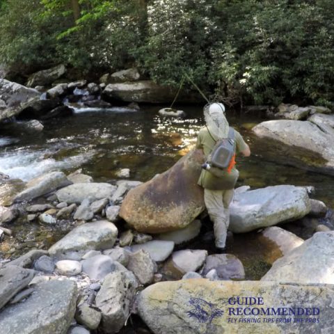 What is Dapping in Fly Fishing: a Pocket Water Technique - Guide ...