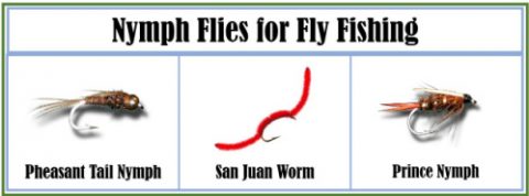 What are the Different Types of Flies in Fly Fishing [12 Proven Flies ...