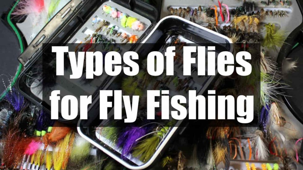 What are the Different Types of Flies in Fly Fishing [12 Proven Flies ...