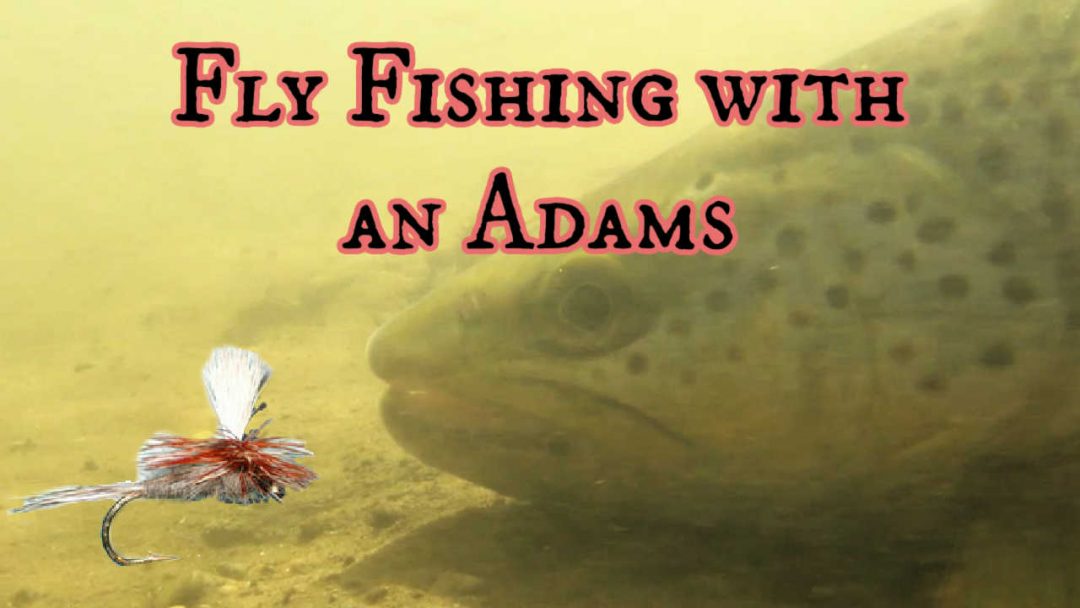 How to Fly Fish with the Adams Fly [Fish & Tie] - Guide Recommended