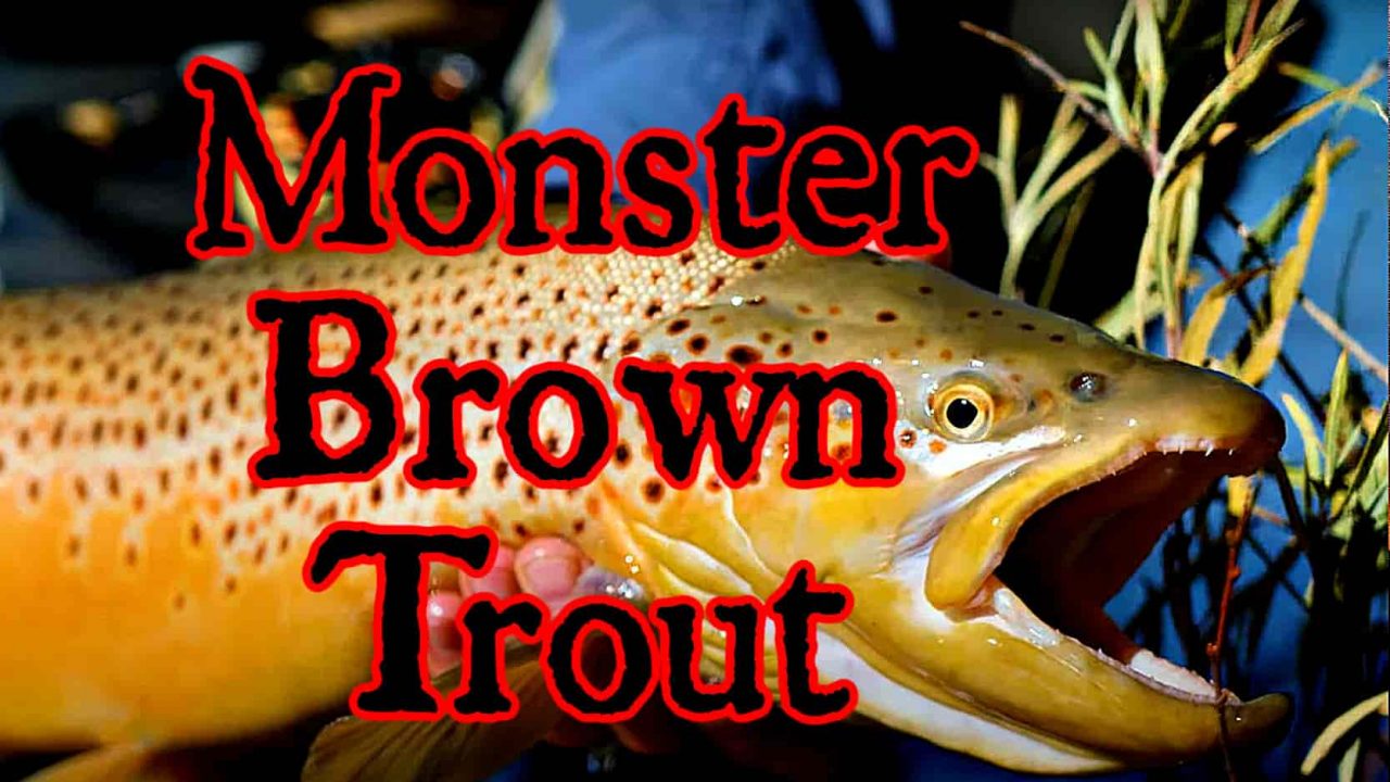 21 Best Places to Fly Fish in Montana: MAPS INCLUDED - Guide Recommended