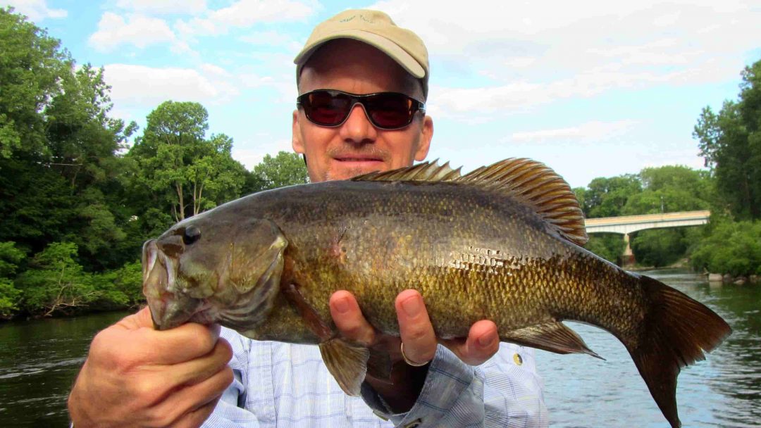 Bass Flies (21 Proven Fly Fishing Patterns That Catch Bass!) - Guide ...